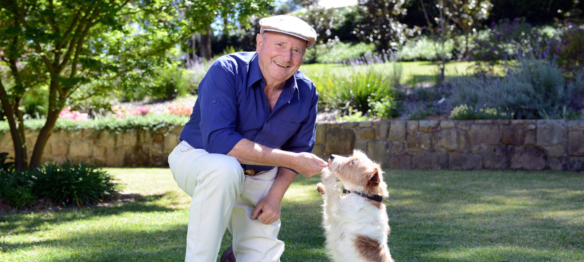 Dr Harry Cooper_Banner